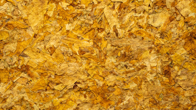 Home – Edit – Humaitá Tabacos